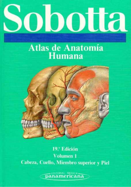 Atlas de Anatomía Humana - Sobotta - PDF | LIBROS MEDIC PDF
